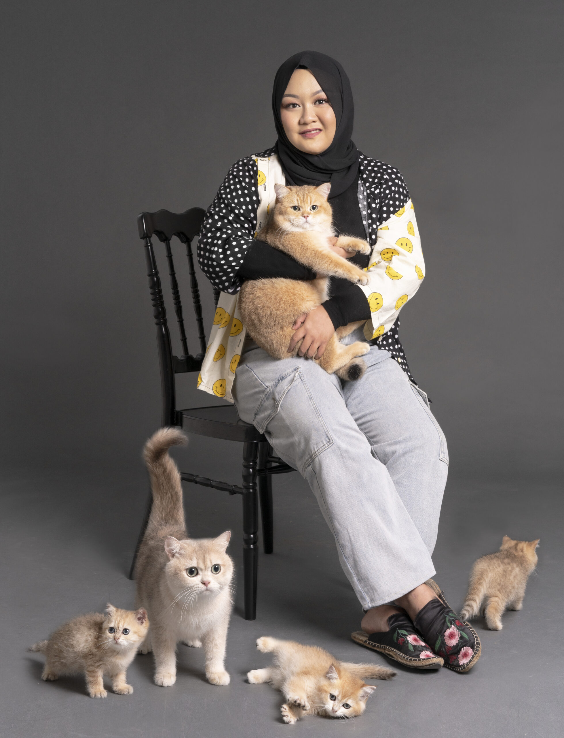 Importir Kucing Pedigree Terpercaya - Angelic Agent